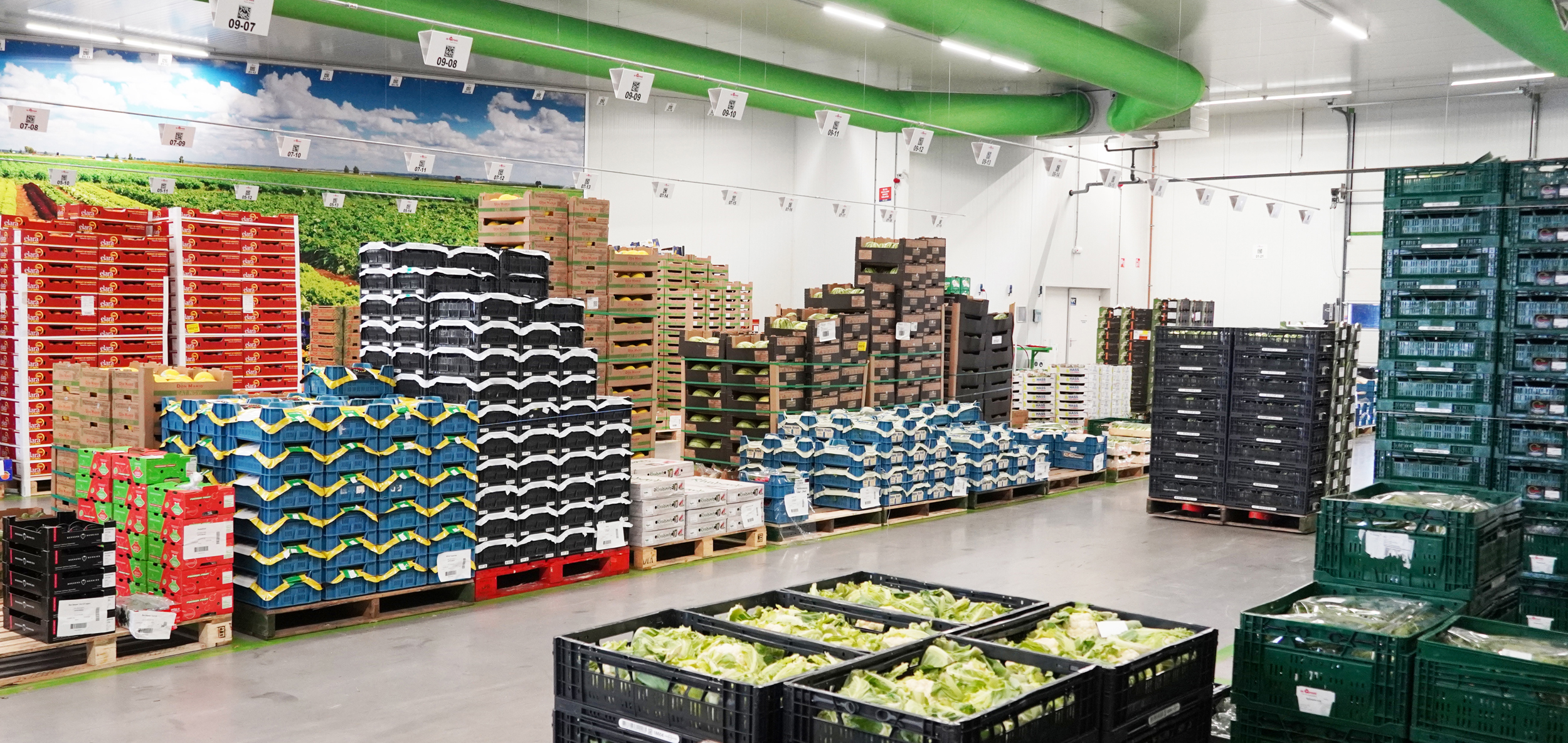 Wholesale - de Groot fresh group