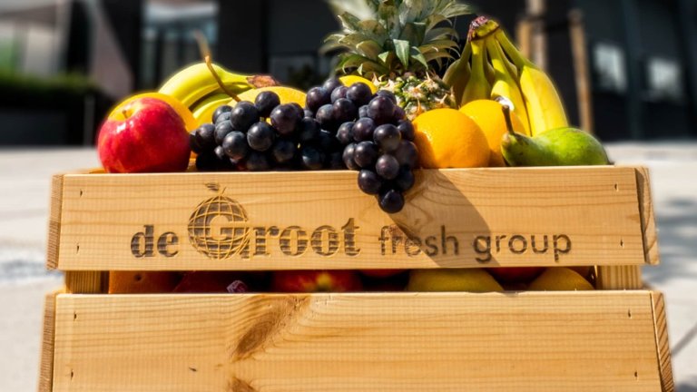 Contact - de Groot fresh group